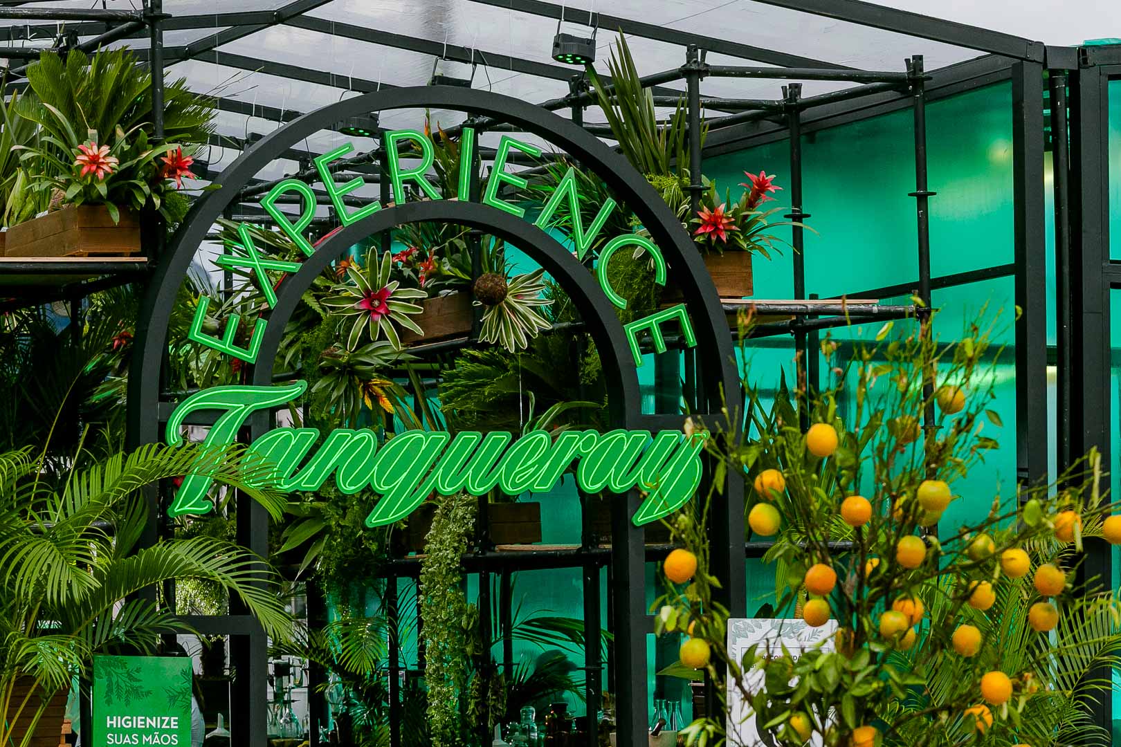 CHEERS! - Paulo Germano